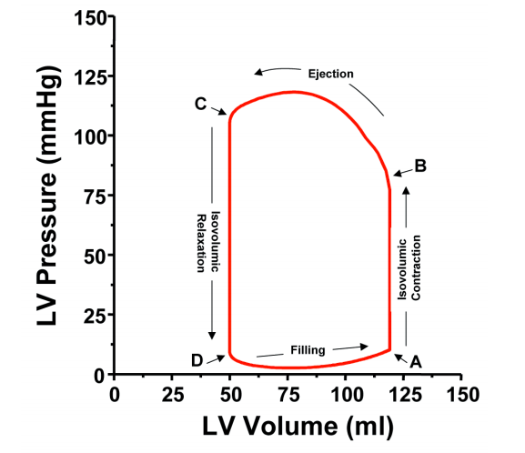 What Bioengineers Should Know About Pressure-Volume Loop Technology
