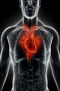 The Magic of the Left Internal Mammary Artery